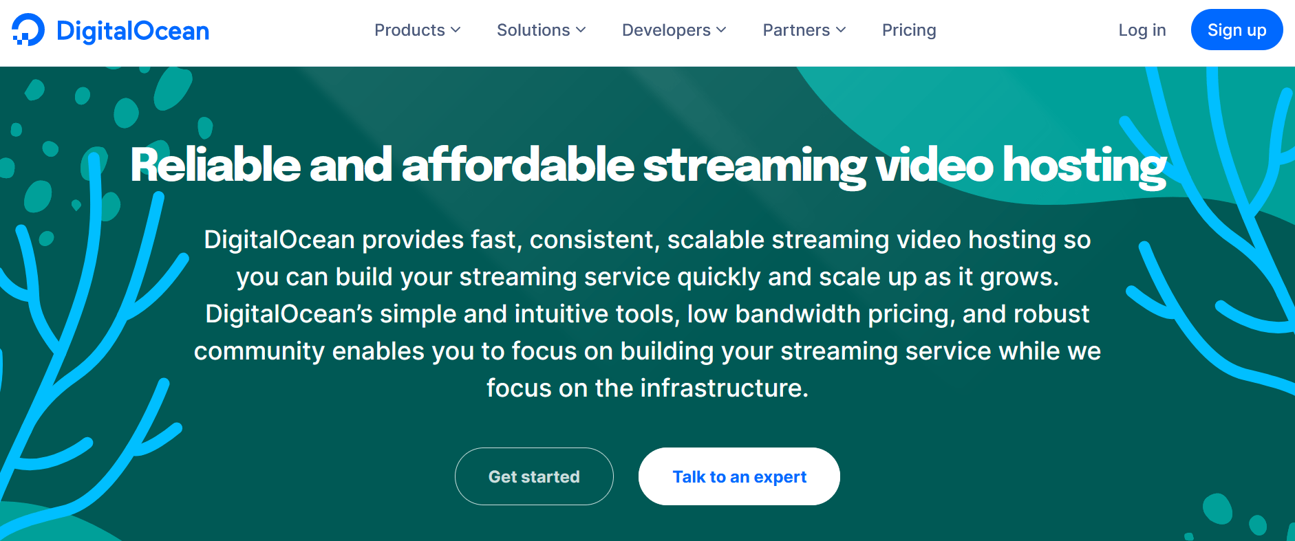 Top 7 Best IPTV Hosting Providers in (December, 2025)