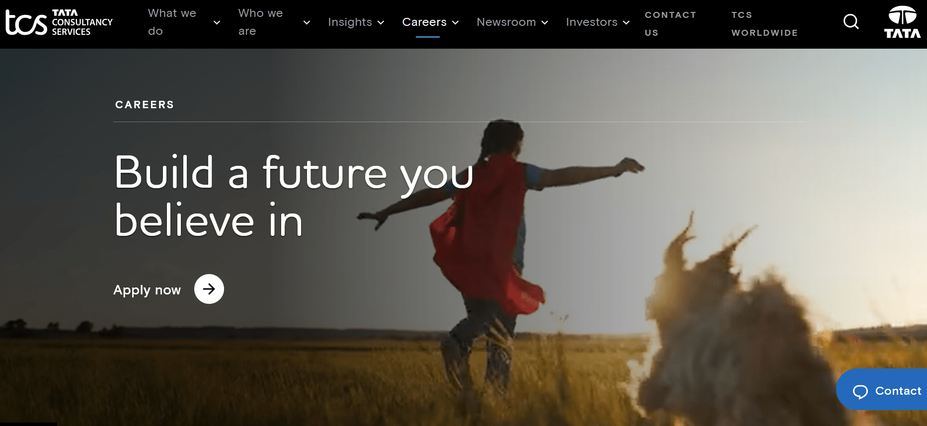 10 Best IT Companies in Netherlands in 2026- (Top picked)